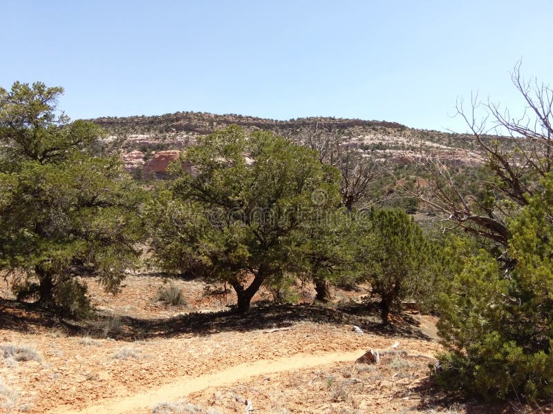 Window Rock Trail stock image. Image of loop, america - 90975997
