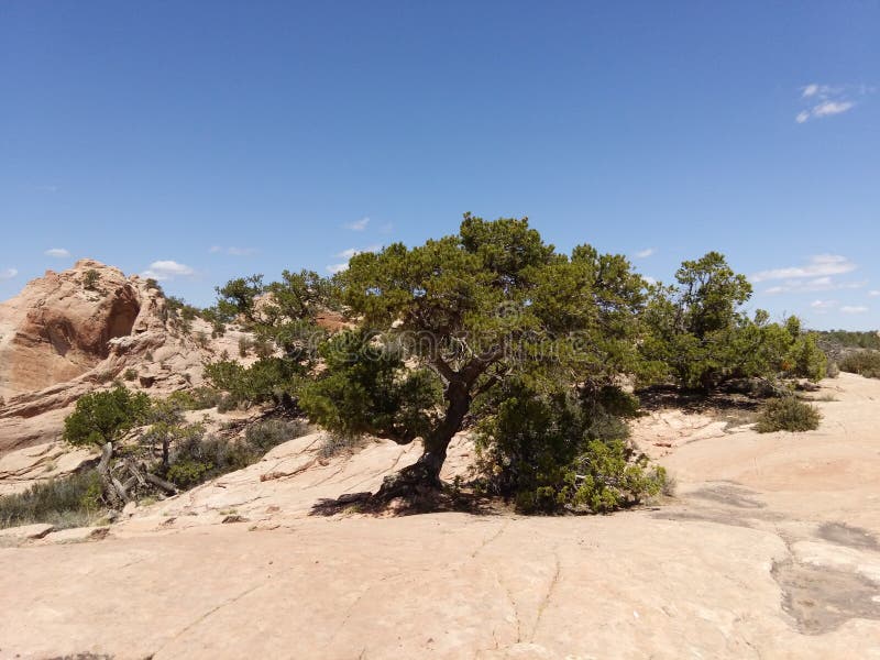 Window Rock stock image. Image of arizona, nation, tribe - 22640983