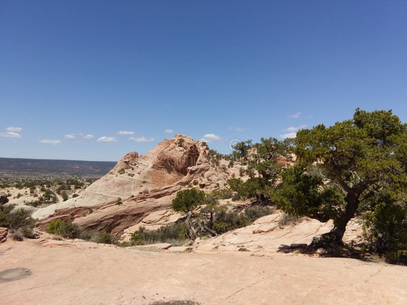 Window Rock Trail stock photo. Image of trees, trail - 90976580