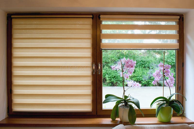 Window roller blind stock photo. Image of wind, burglar - 13765150