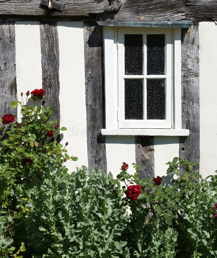 Rambling rose stock photo. Image of panes, house, frame - 178868