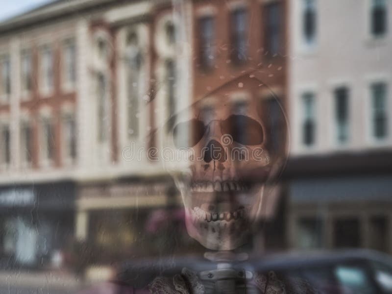 Skeleton Reflection in Puddle Stock Photo - Image of skeleton, surreal ...