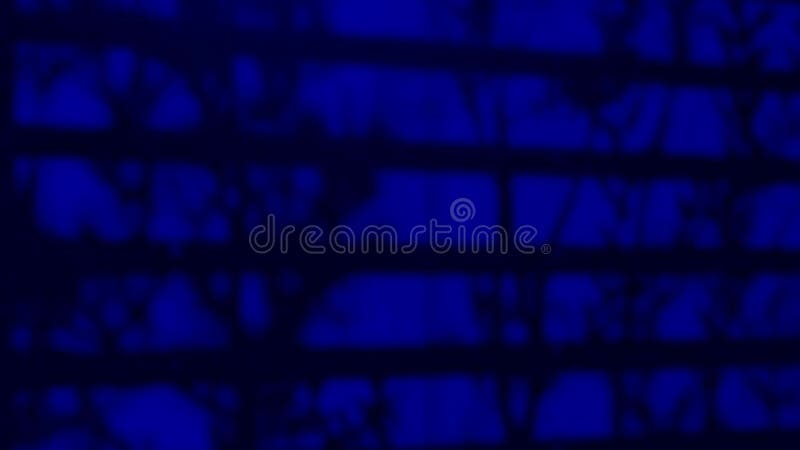 Window Shadow and Lights Moving on Blue Screen Background 4K Animation ...