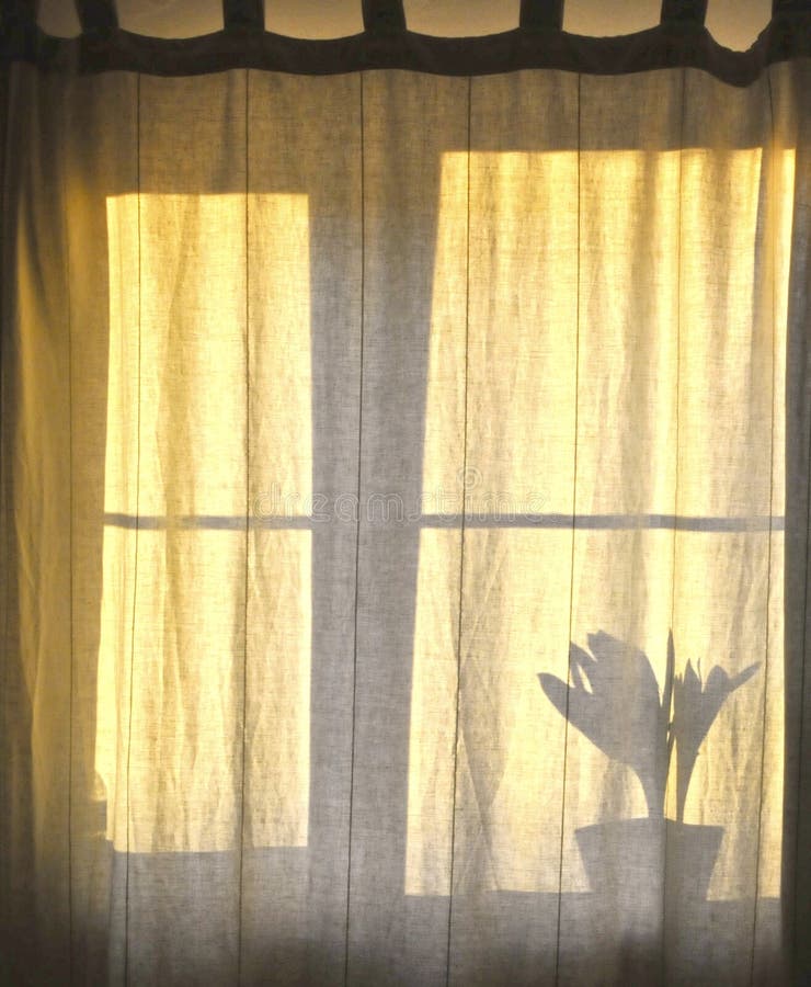 A shadow in the window stock image. Image of architecture - 22008171