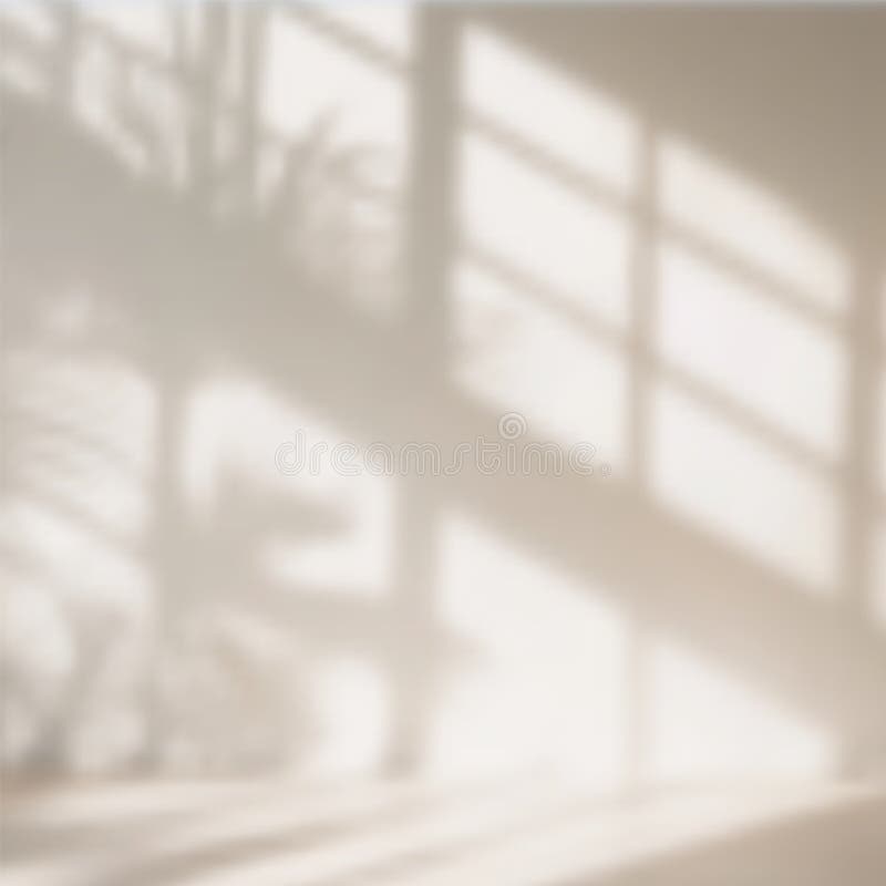 Window Shadow Overlay for Branding, Modern Minimalist Design, Organic ...