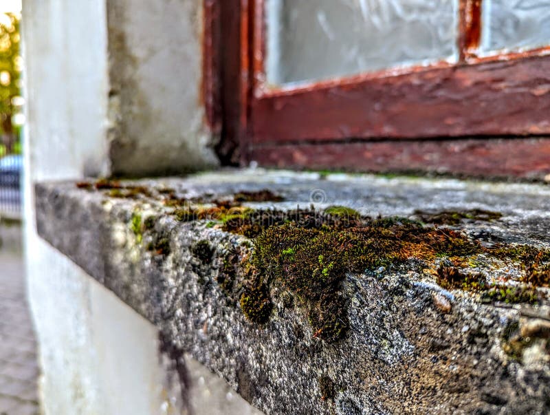 Concrete Window Sill with Moss Algae in Ireland Donegal Stock Image ...
