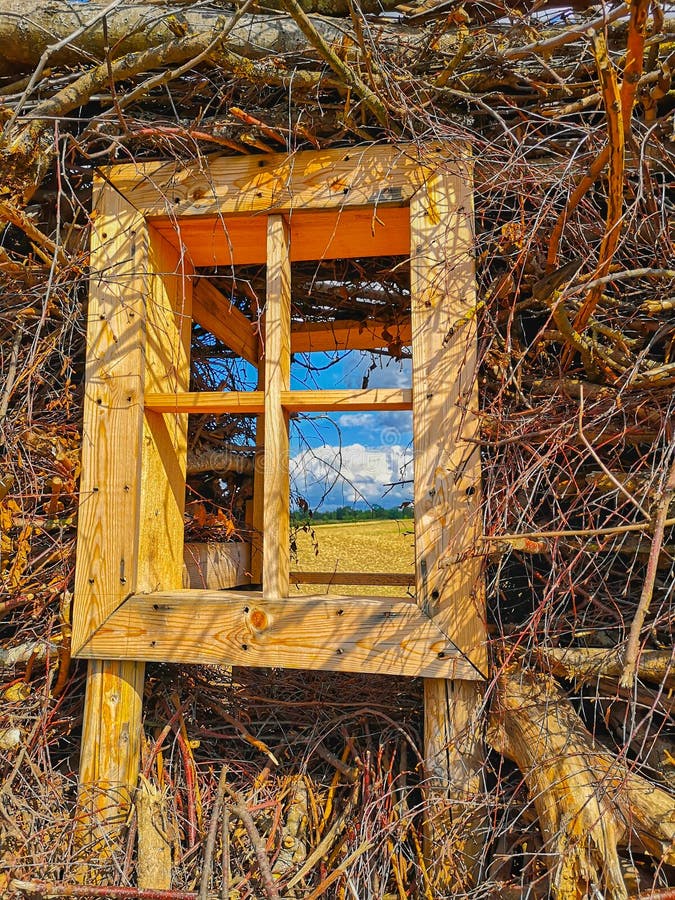 Nesting place for insects stock photo. Image of animal - 156052630