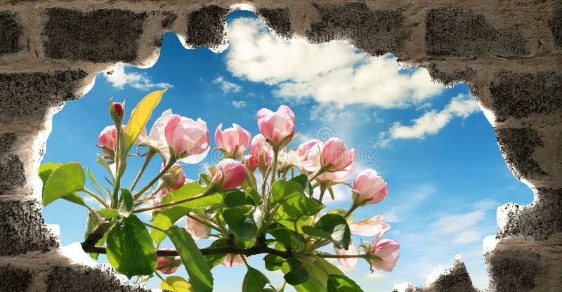 Window in a spring stock photo. Image of blue, clouds - 8518202