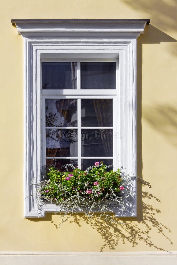 At a window stand flowers stock photo. Image of autumn - 28375378