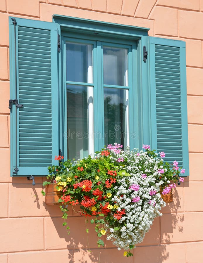Window with a Sun Blind and Flowers Stock Image - Image of plant ...