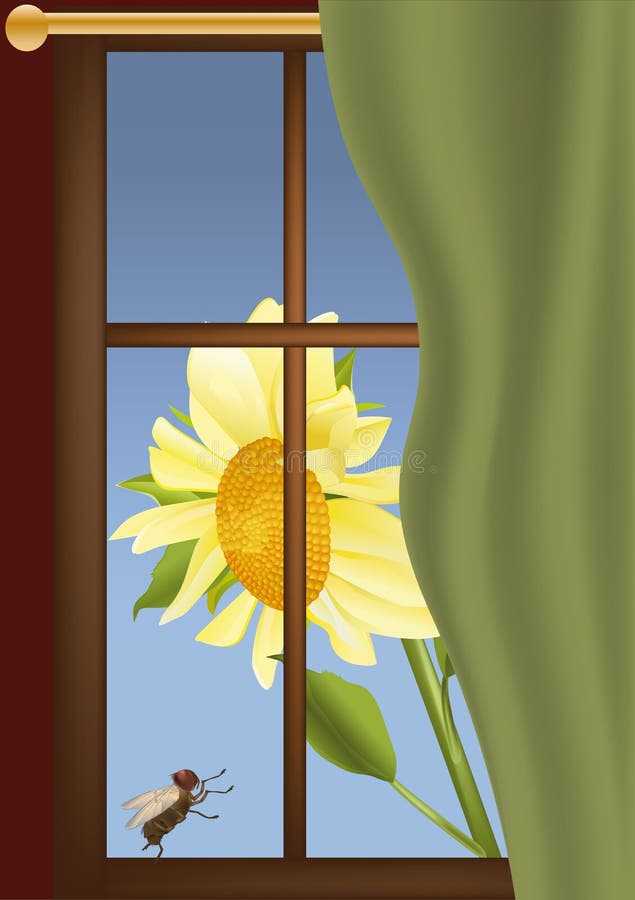 Window sunflower and a fly stock vector. Illustration of beauty - 11973474