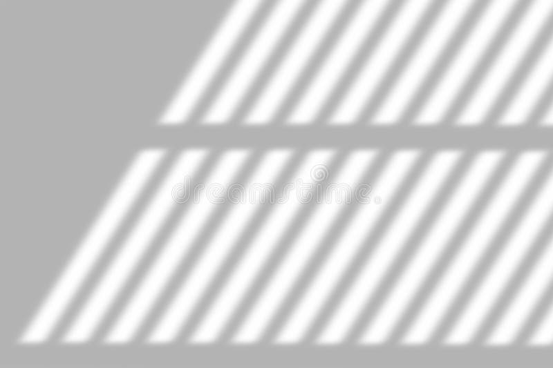 Window Sunlight Shadow Overlay Effect Mockup Stock Illustration ...