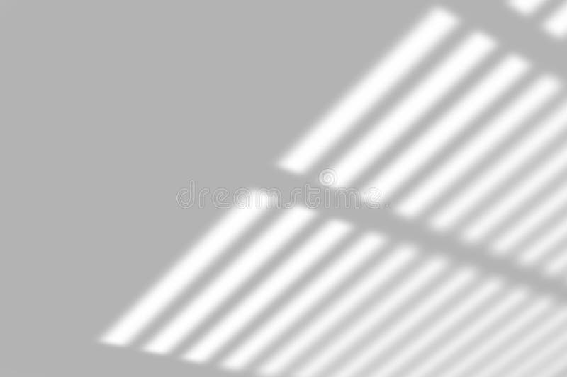 Window Sunlight Shadow Overlay Effect Mockup Stock Illustration ...