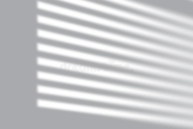 Window Sunlight Shadow Overlay Effect Mockup Stock Illustration ...