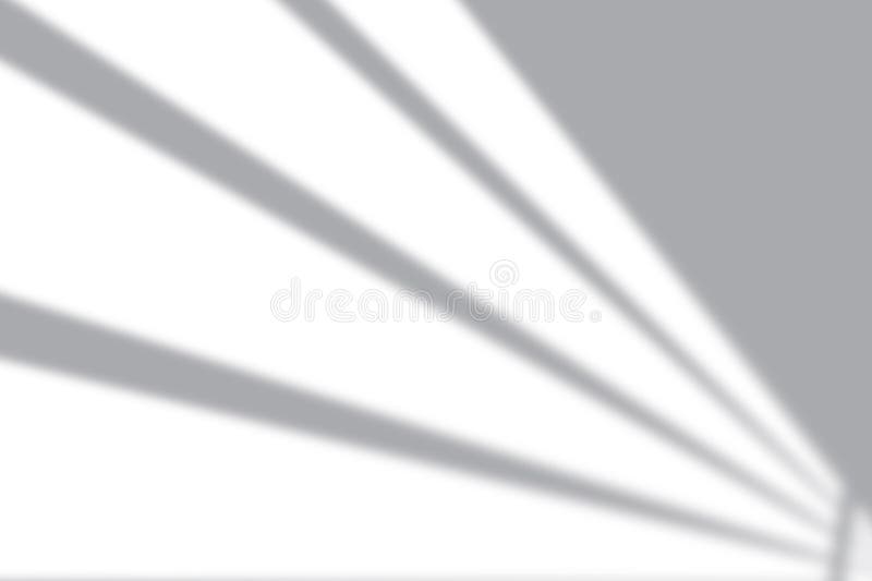 Window Sunlight Shadow Overlay Effect Mockup Stock Illustration ...