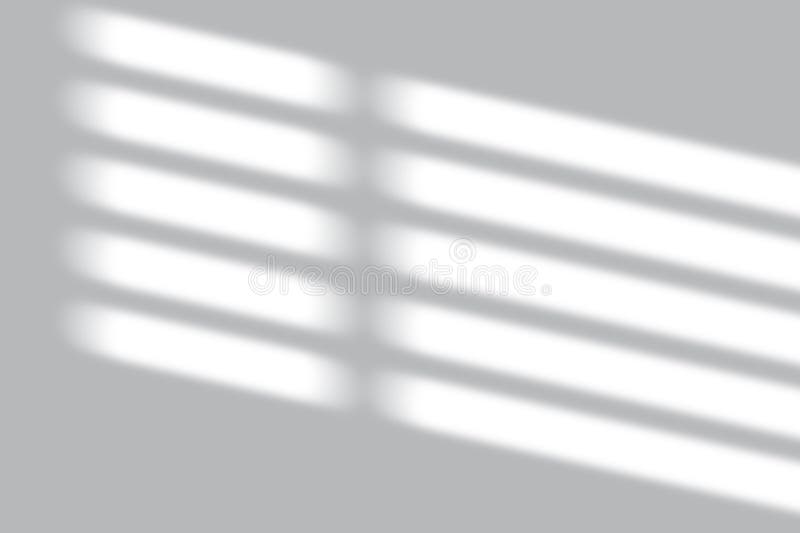 Window Sunlight Shadow Overlay Effect Mockup Stock Illustration ...