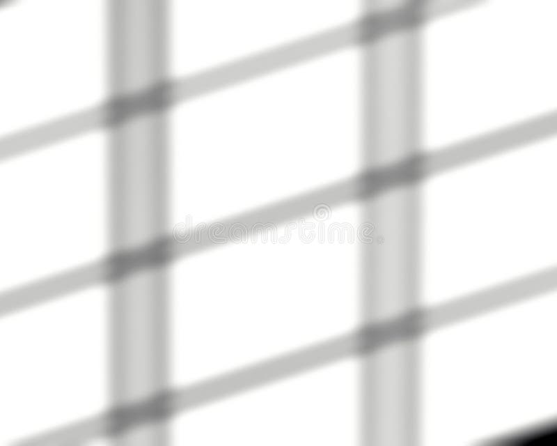 Window Sunlight Smooth and Blurred Shadow on Indoor Wall Overlay Effect ...