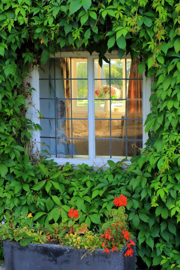 Window Surrounded by Nature Stock Image - Image of sculpture, building ...