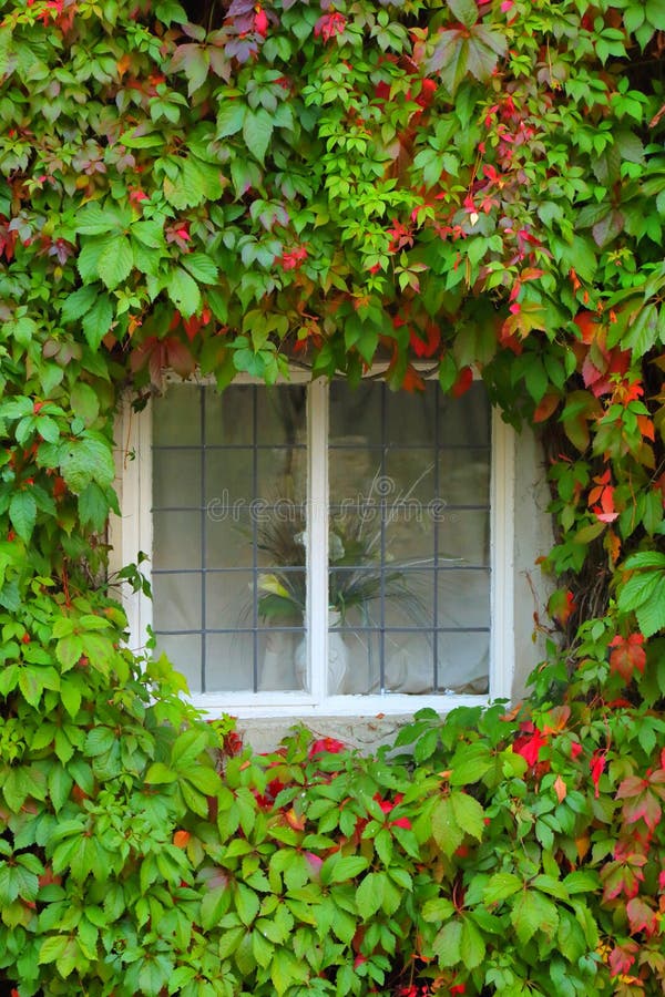 Window Surrounded by Nature Stock Image - Image of sculpture, building ...