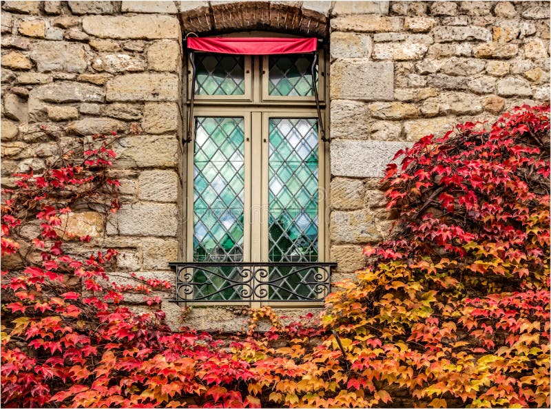 Window Surrounded by Nature Stock Image - Image of sculpture, building ...