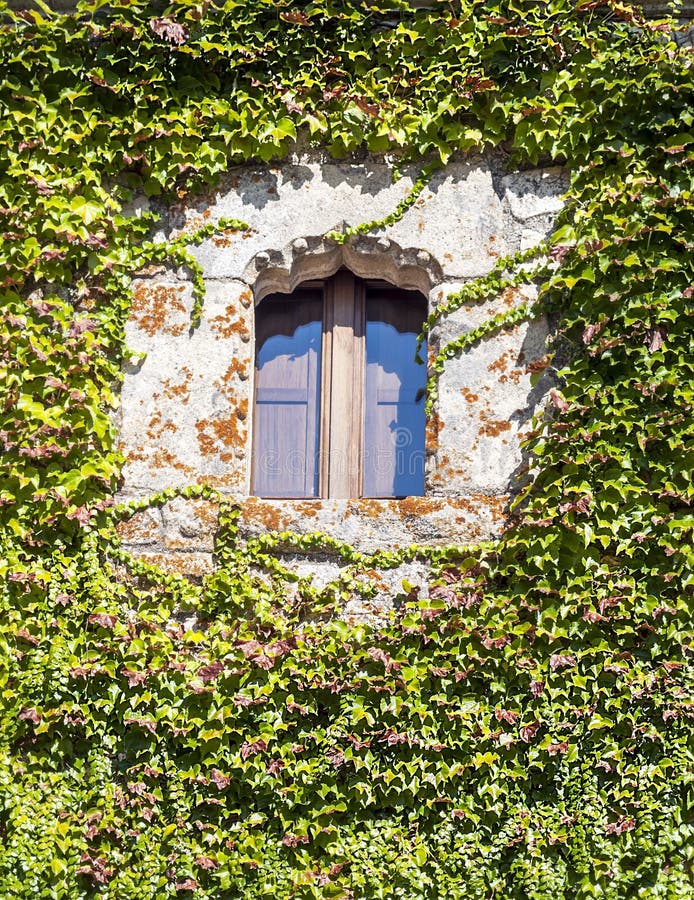 Window Surrounded by Nature Stock Image - Image of sculpture, building ...