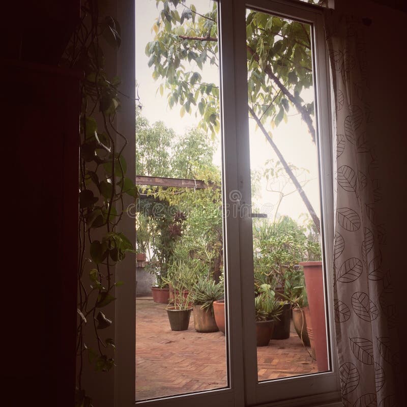 Window terrace stock image. Image of plants, window, terrace - 98883529
