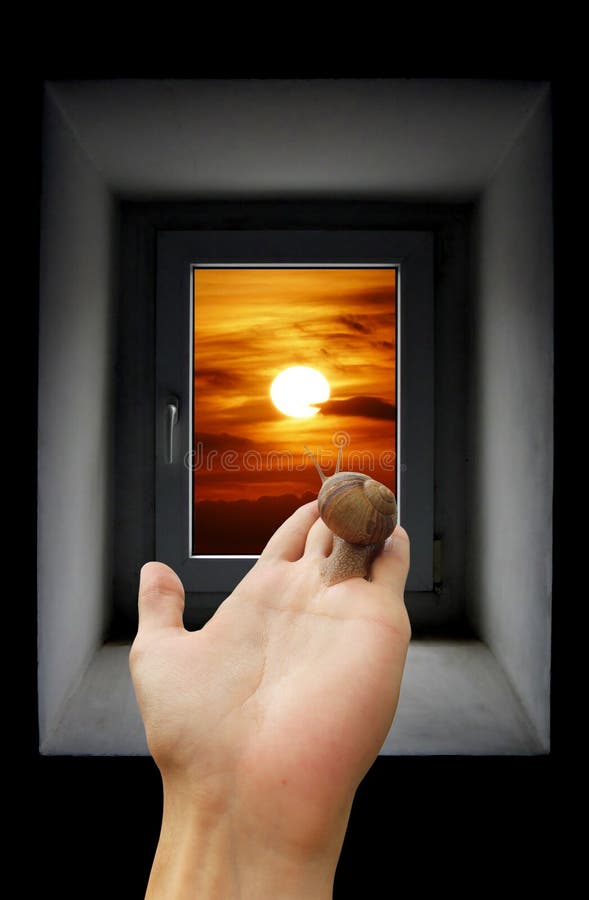 Window to freedom stock image. Image of locked, dream - 11564811