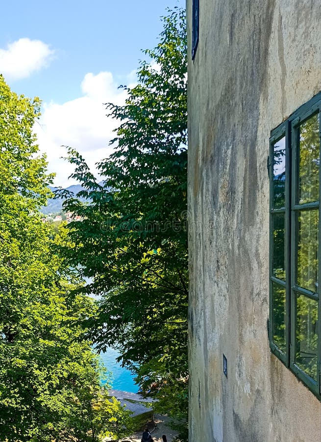 Window tree shadow stock photo. Image of wall, window - 258069896