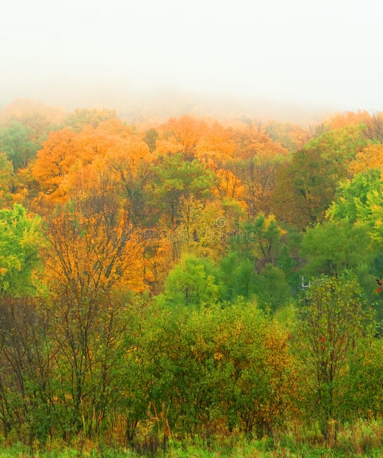 Window View of Beautiful Colored Autumn Forest Stock Photo - Image of ...