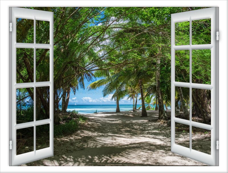 Window with a View of Green Tree Sea by Bright Sunshine Stock Image ...