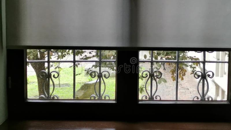 Window View Inside - Outside the Wind Blows Stock Footage - Video of ...