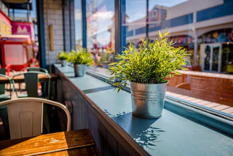 A Window View Inside a Restaurant on a Sunny Day with Plants on the ...