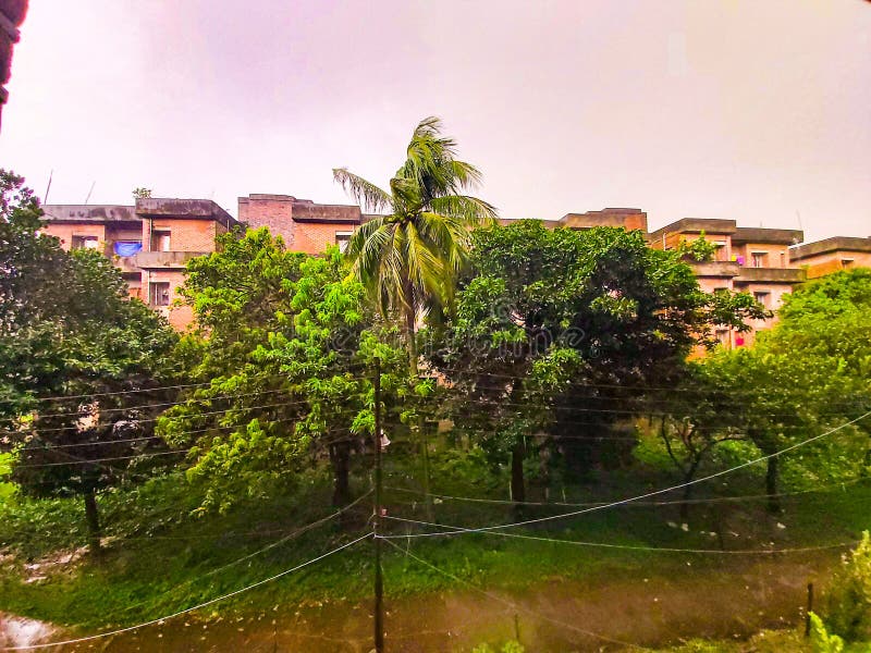 A Window View of a Rainny Morning. Stock Image - Image of neighbourhood ...