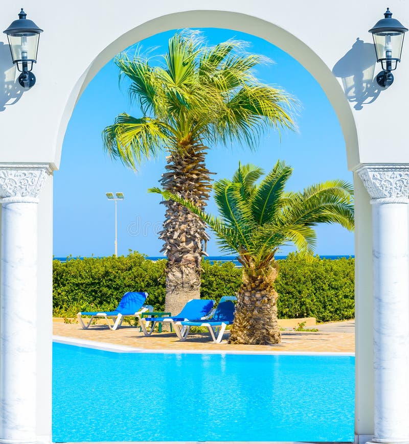 Window View of the Sea Palm Stock Image - Image of shadow, southern ...