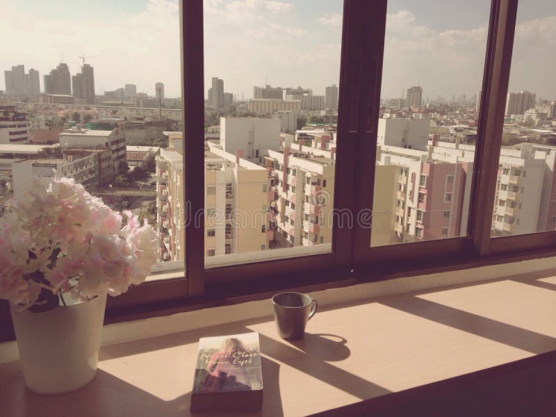 Window view. editorial photography. Image of shadow, daylight - 48047242