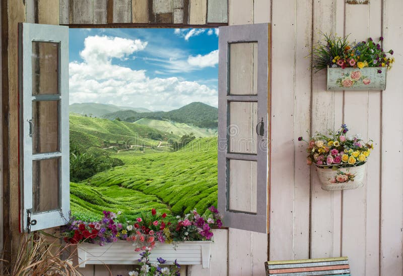 Window stock photo. Image of freshness, nature, modern - 47619344