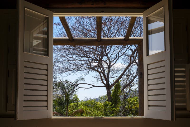 Window View with Trees and Mountains Stock Image - Image of estate ...