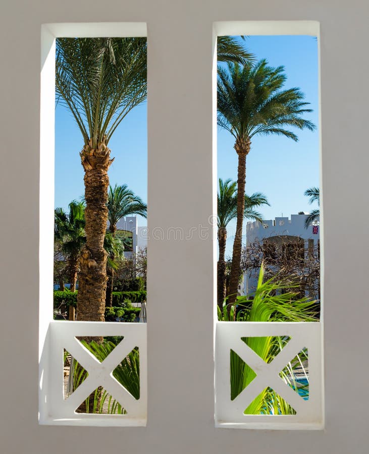 Window View of a Tropical Garden with Tall Palm Trees in Egypt Stock ...