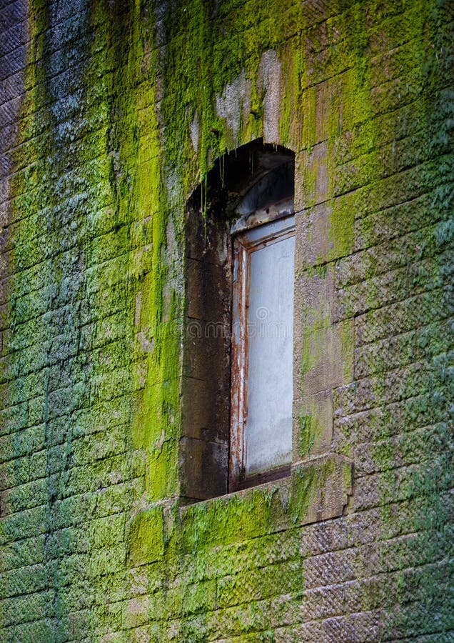 Window in a Wall Covered with Moss Stock Photo - Image of cement ...
