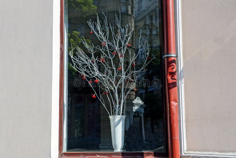 Window on the Wall and a White Vase with a Decorative Tree Behind the ...