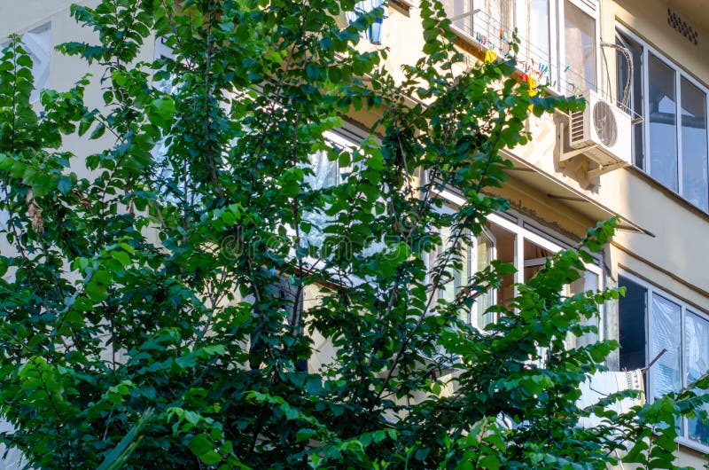 970 Natural Lit Building Photos - Free & Royalty-Free Stock Photos from ...