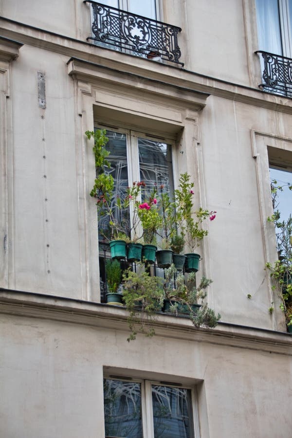 Windows of an building stock photo. Image of ancient - 237270174