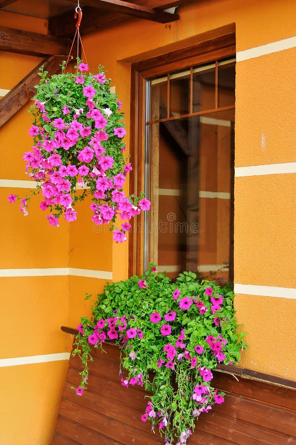 Windows Decorated with Pink Flowers Stock Photo - Image of window ...