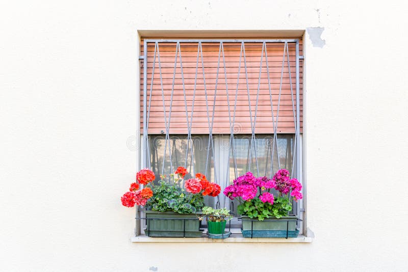 Windows with flower pots stock image. Image of fuchsia - 58314313