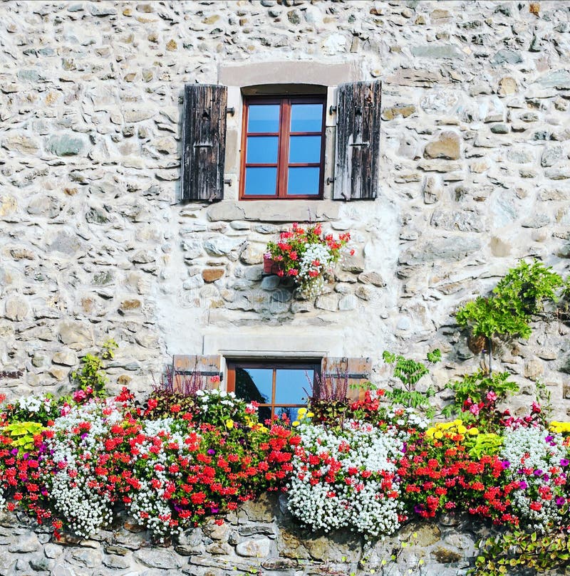 Windows with flowers stock photo. Image of architecture - 36797432