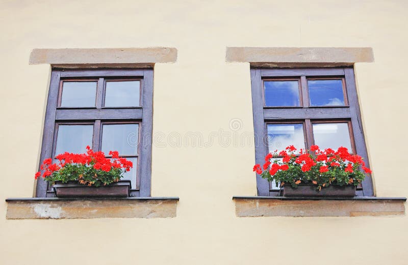 Windows with Flowers on Historic House Stock Photo - Image of town ...