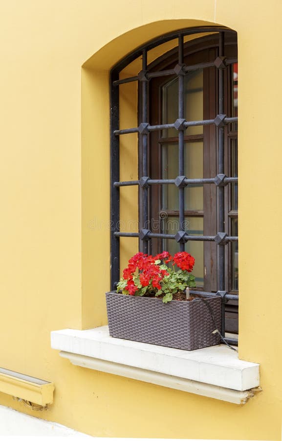 Windows with Fresh Red Flowers. Stock Image - Image of flower, plaster ...