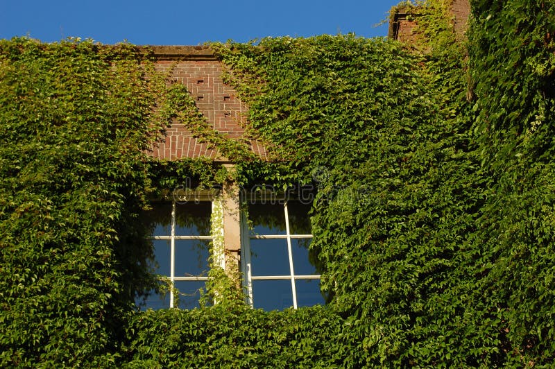 Windows with green stock image. Image of roof, window - 15200021