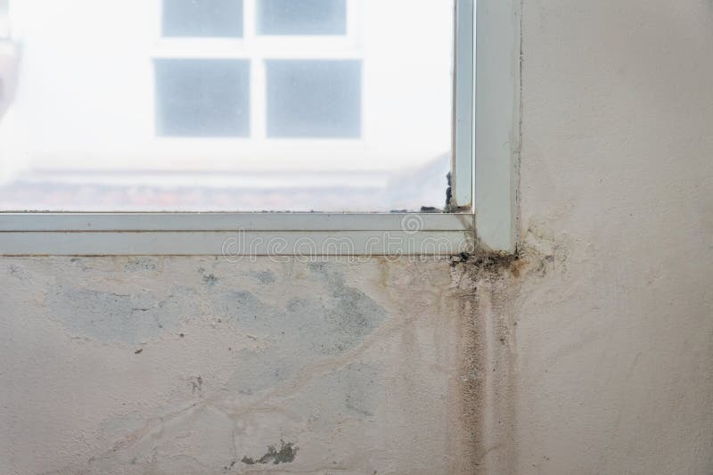 216 Leaking Border Stock Photos - Free & Royalty-Free Stock Photos from ...