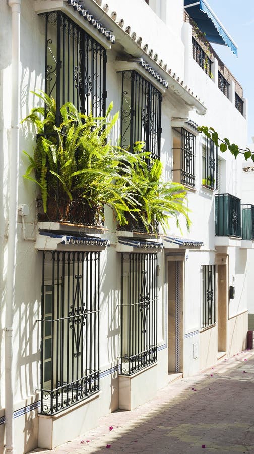 Windows with metal grid. stock image. Image of plant - 63696655